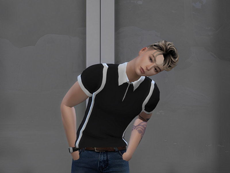 The Sims Resource | Felix Park