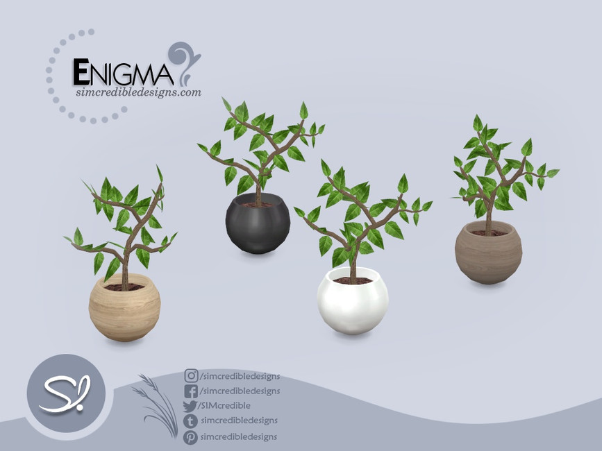 The Sims Resource - Enigma Little Plant