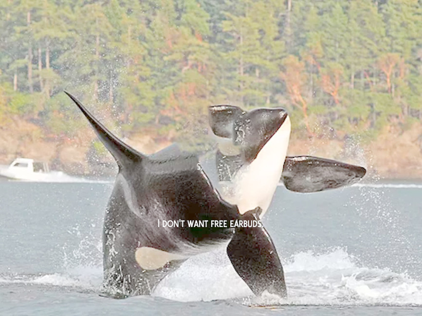 The Sims Resource - Orca Breaching Water