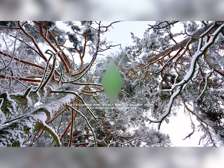 The Sims Resource - Winter Loading Screen v2