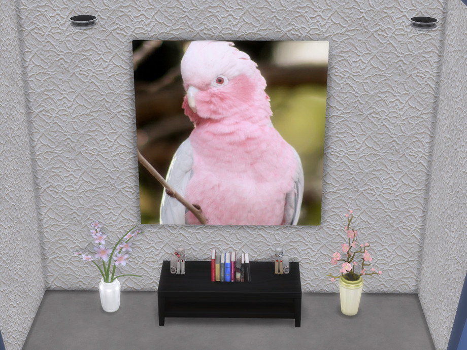 The Sims Resource | Australian Birds Collection large