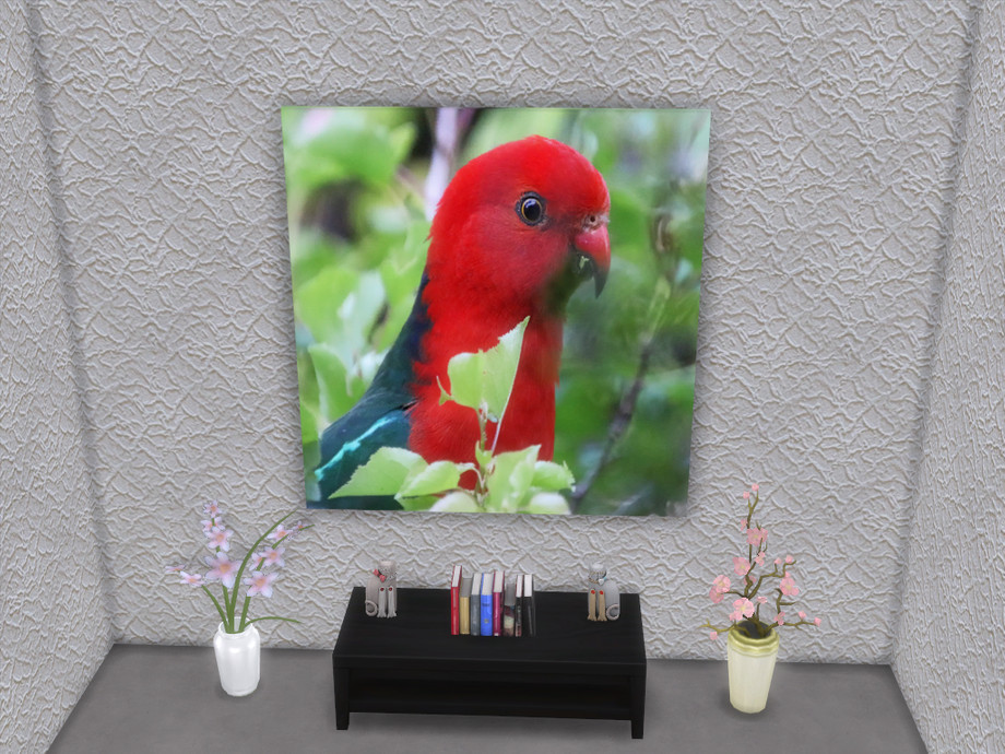 The Sims Resource | Australian Birds Collection large