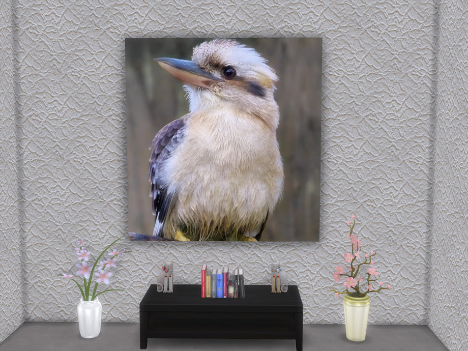 The Sims Resource | Australian Birds Collection large