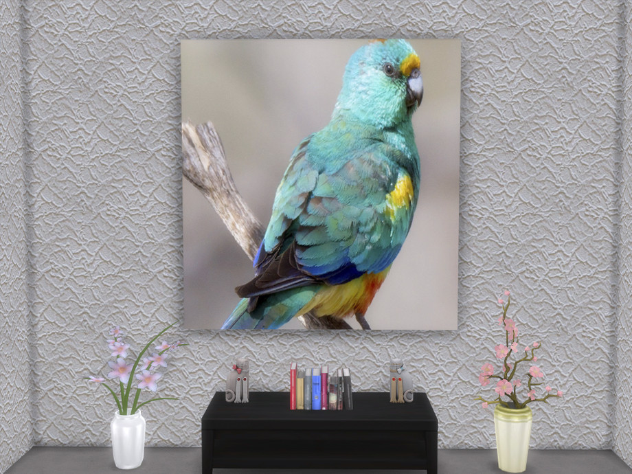 The Sims Resource | Australian Birds Collection large