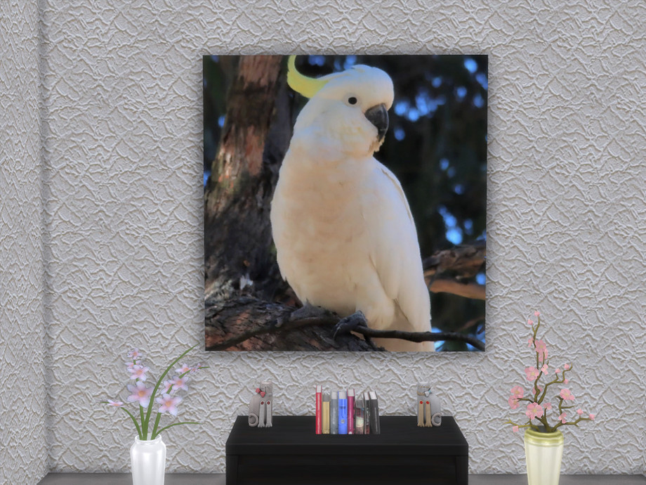 The Sims Resource | Australian Birds Collection large