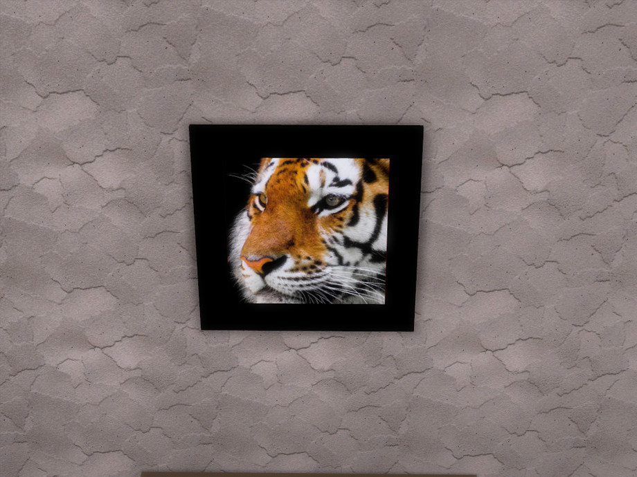 The Sims Resource | Tiger Collection (small)