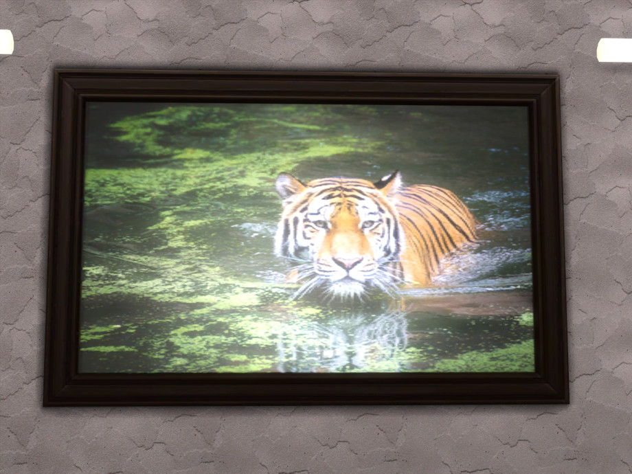 The Sims Resource - Majestic Tigers Pt1