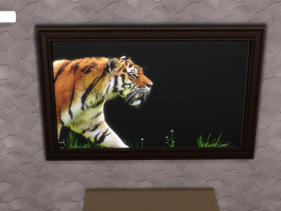 The Sims Resource | Majestic Tigers Pt1