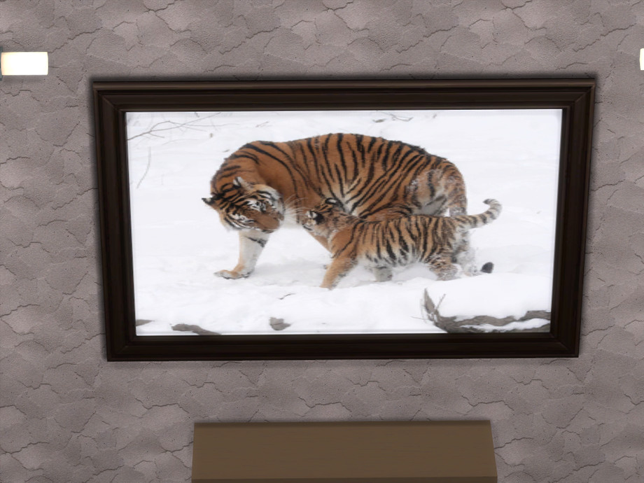 The Sims Resource | Majestic Tigers Pt1