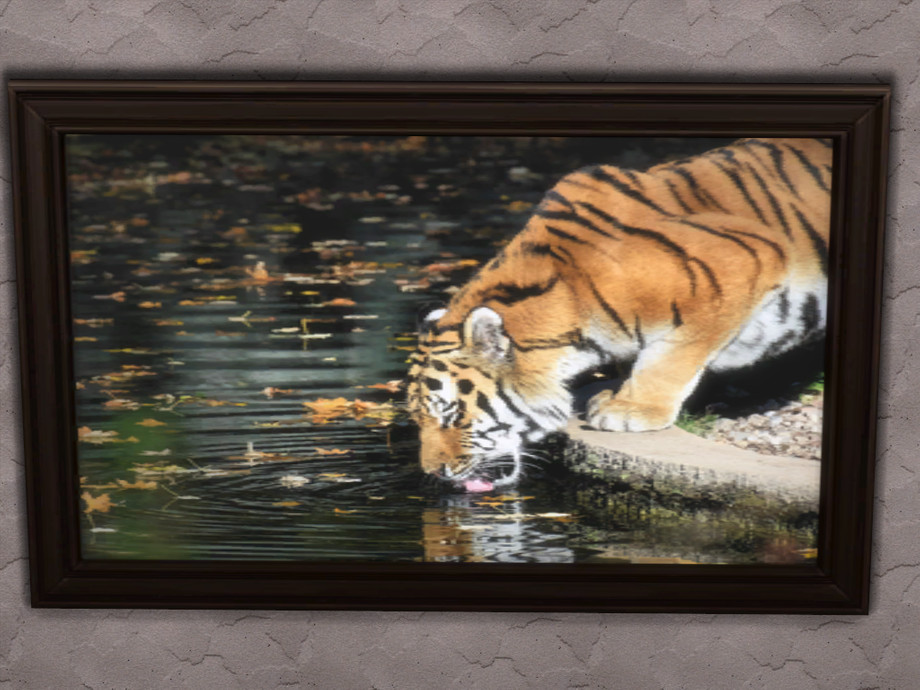 The Sims Resource | Majestic Tigers Pt1