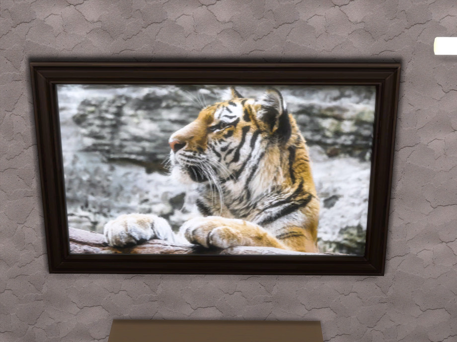 The Sims Resource | Majestic Tigers Pt2