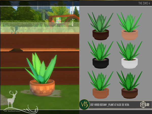 The Sims Resource | DSF VIRIDI BOTANY _PLANT A7 ALOE DE VERA