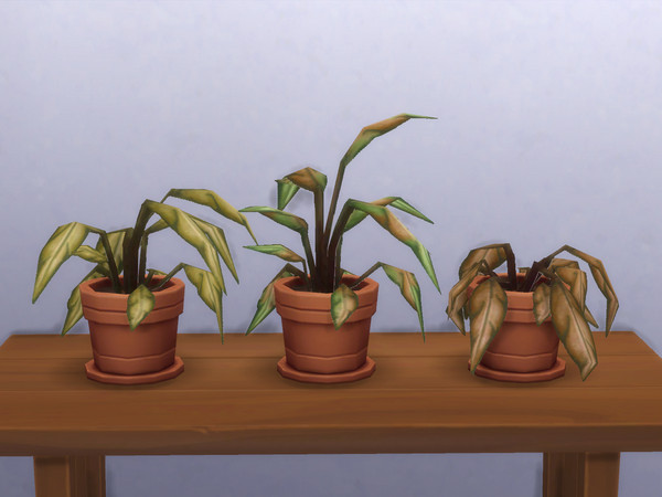 The Sims Resource | Mega Fern Partially Dead| dead plants thatsadsack