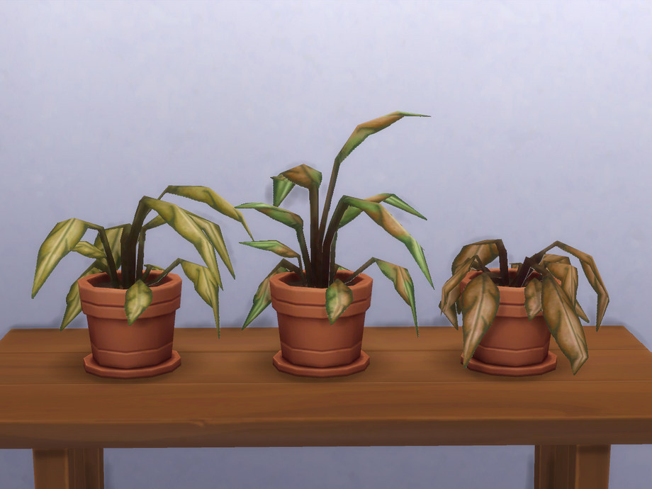 The Sims Resource | Mega Fern Partially Dead| dead plants thatsadsack