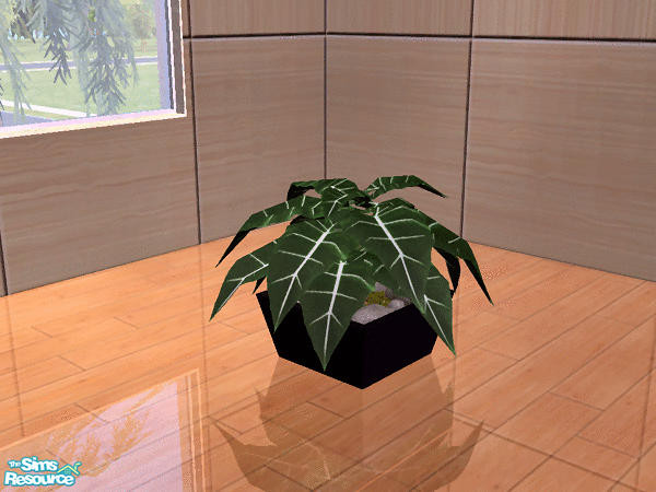 The Sims Resource - Plant