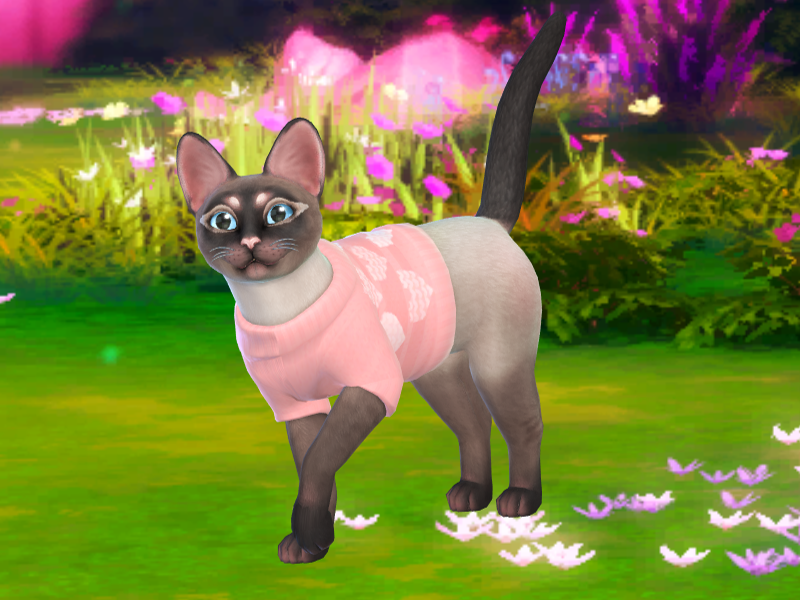 The Sims Resource | Maxis Matched Cute Pastel Heart Sweater For Cats