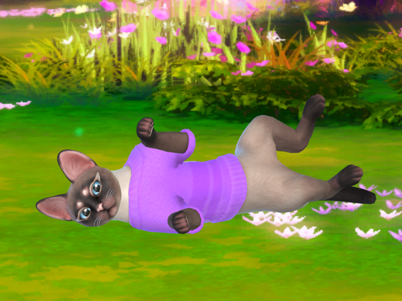 The Sims Resource | Maxis Matched Cute Pastel Heart Sweater For Cats