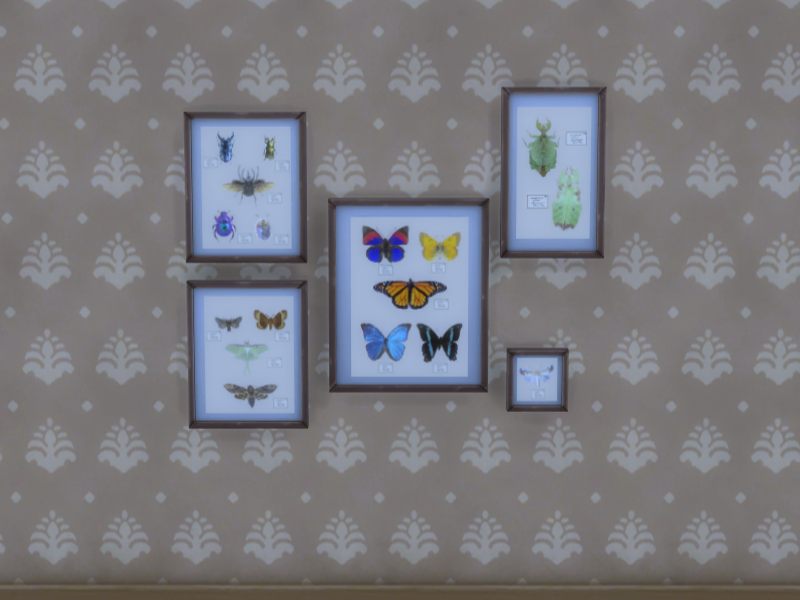 The Sims Resource | Insect catalogue
