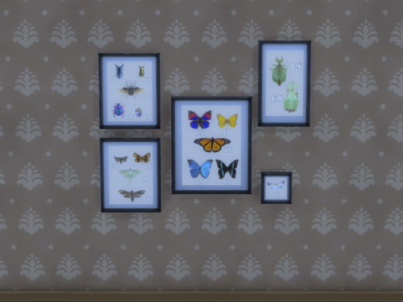 The Sims Resource | Insect catalogue