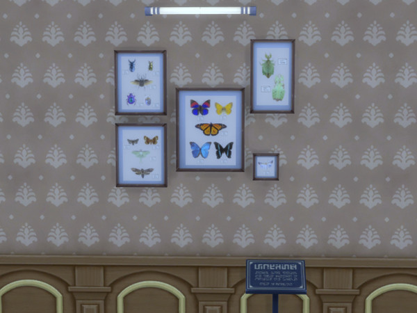 The Sims Resource | Insect catalogue