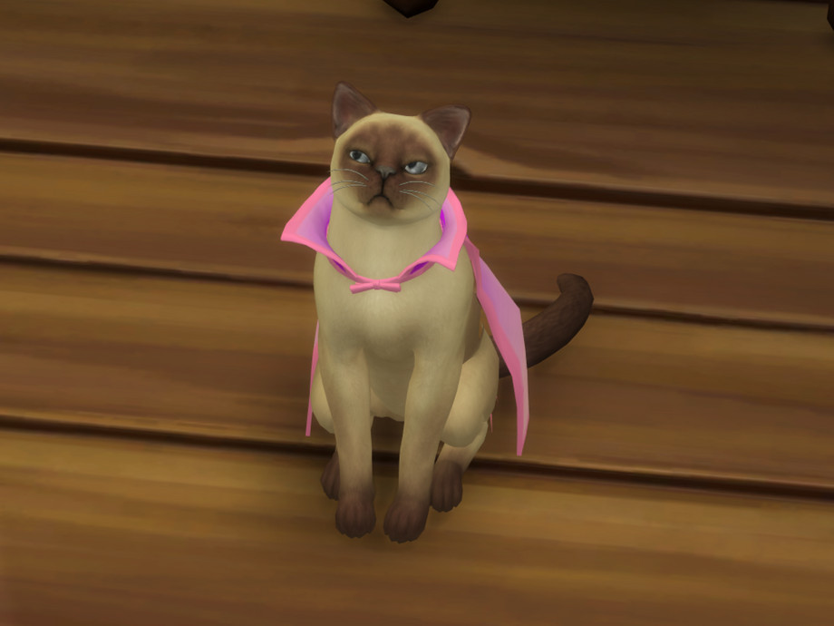 The Sims Resource | Long Diva Pink Cat Cape