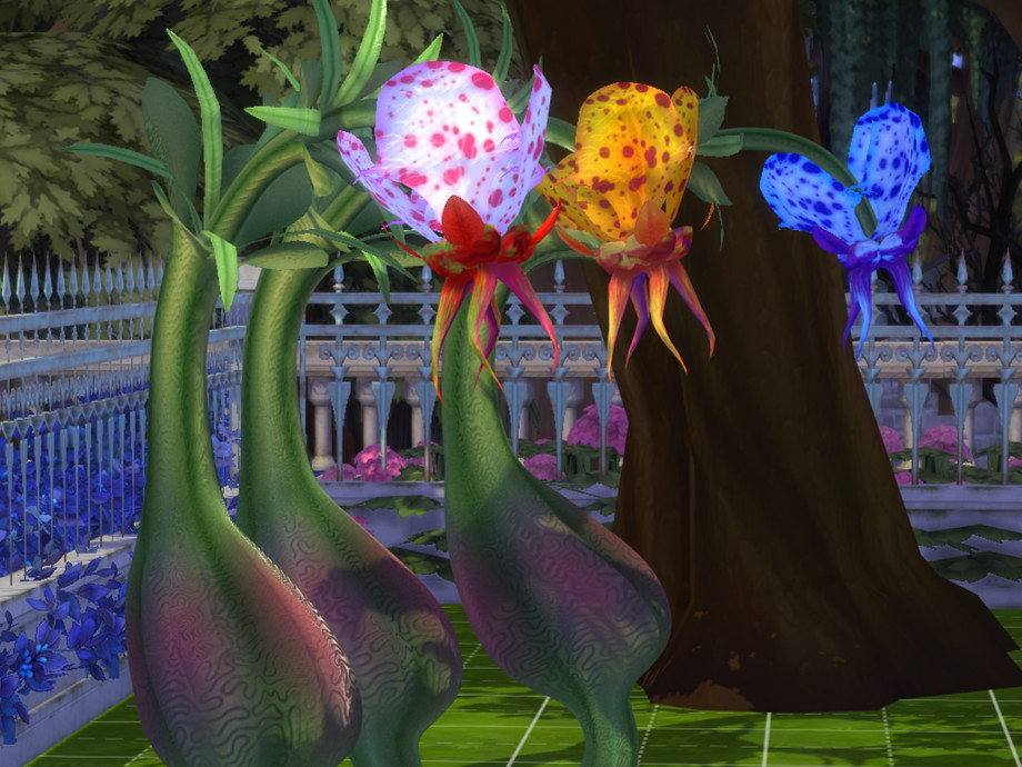 The Sims Resource | Scorpian Thistle