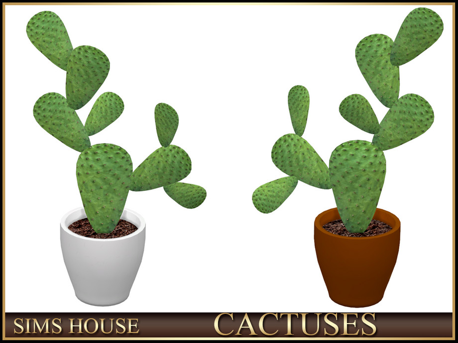 The Sims Resource | Sims House FLAT CACTUS IN A POT | CACTUSES