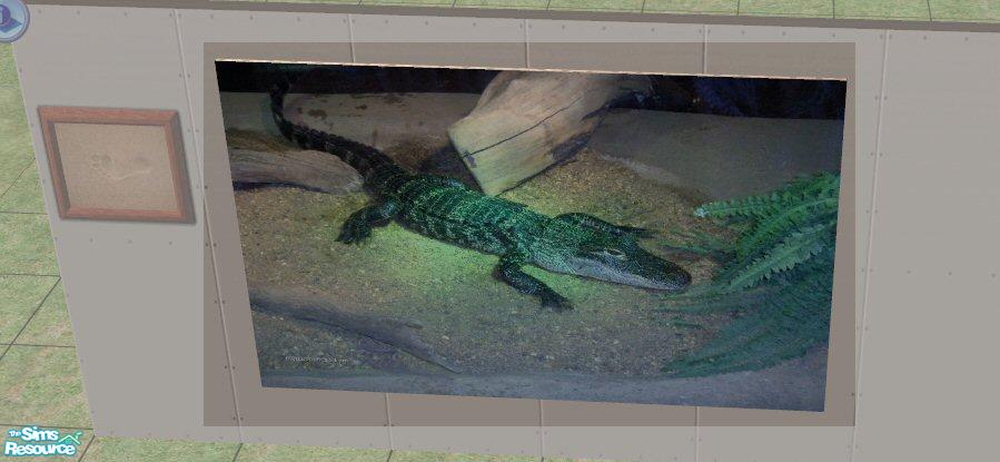 The Sims Resource - Gator