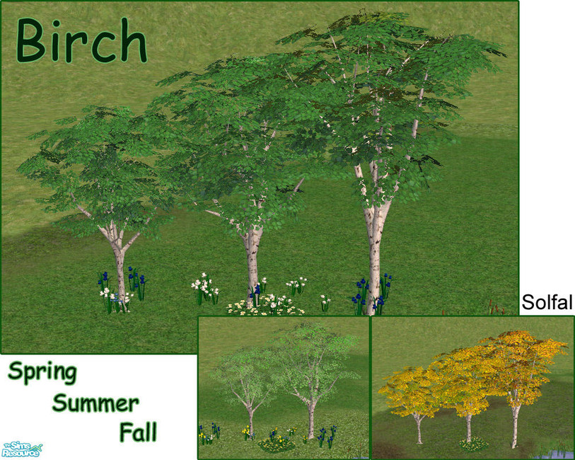 The Sims Resource - Birch trees