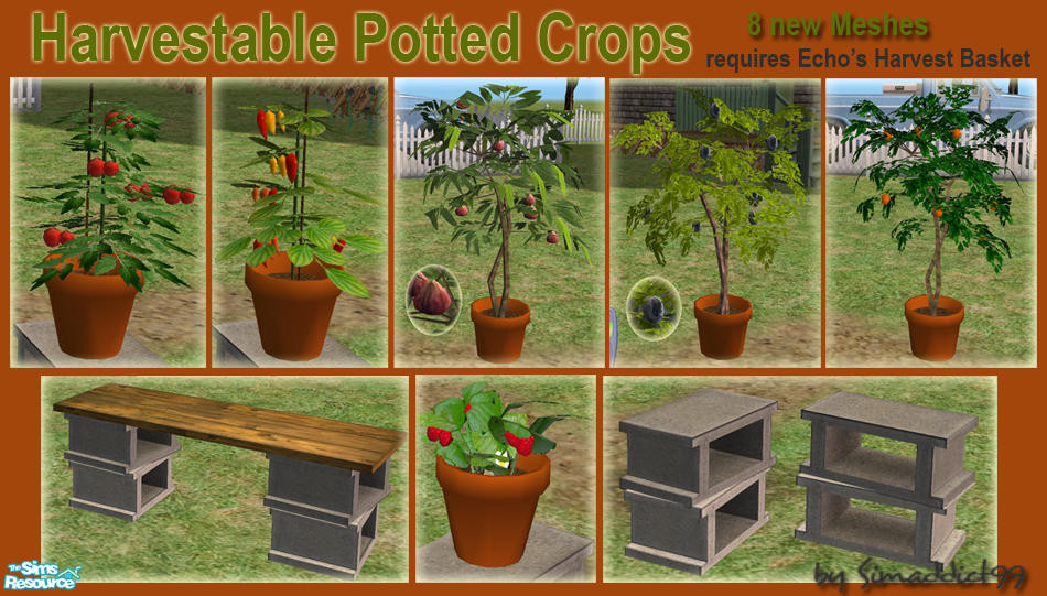 The Sims Resource - Harvestable Potted Crops