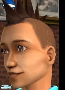 The Sims Resource - Spikey Brown Mohawk
