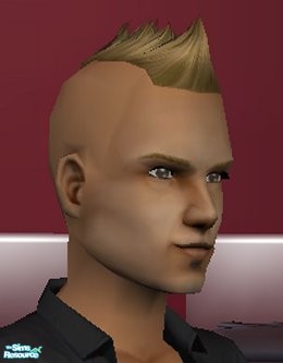 Blonde Mohawk