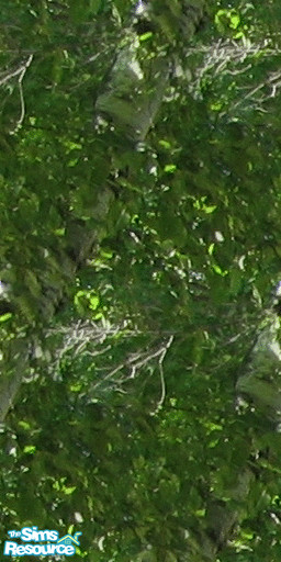 The Sims Resource - Birch Tree with leaves siding