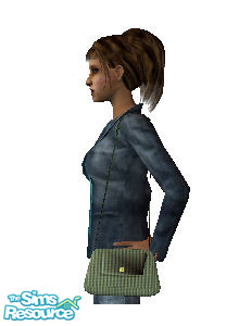 The Sims Resource | green patternd purse