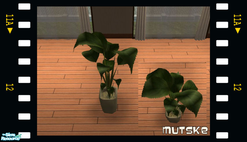The Sims Resource - More Plants 01