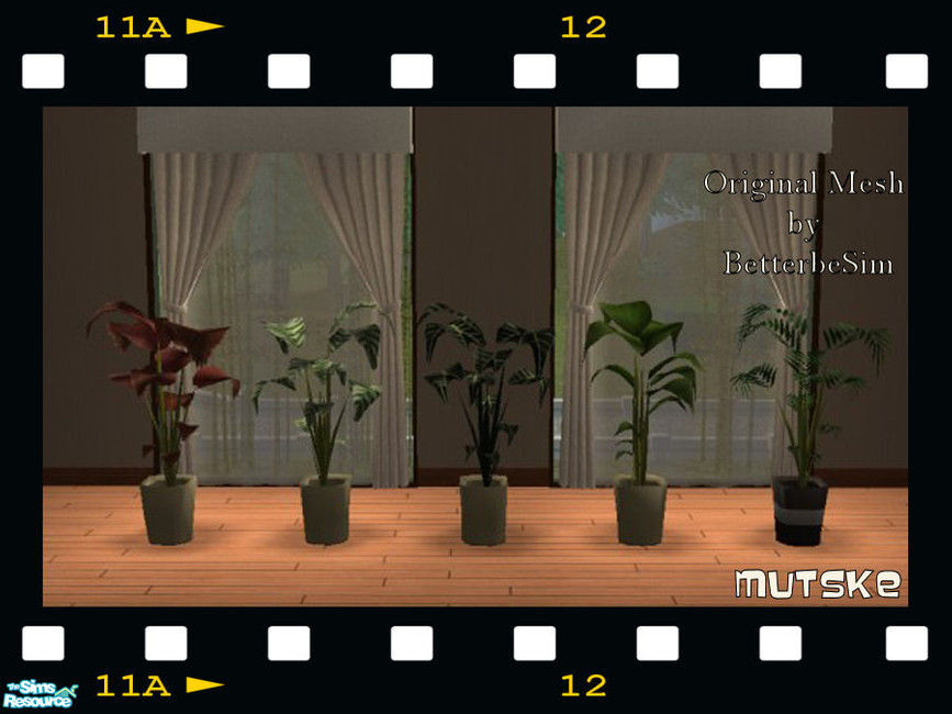 The Sims Resource - More Plants