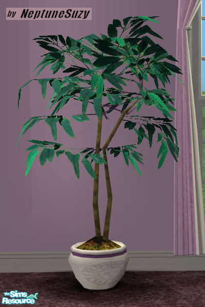 The Sims Resource - NSC Fig Tree Plant 7 - White Pot
