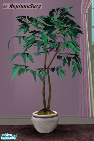 The Sims Resource | NSC Fig Tree Plant 7 - White Pot