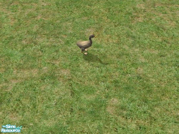 The Sims Resource | Duck for a farm or pond