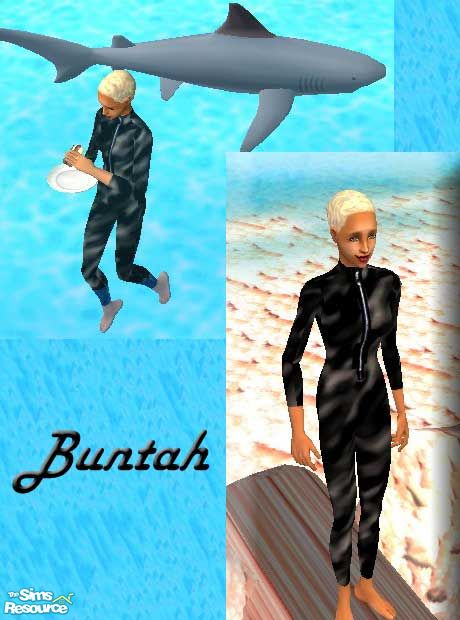 The Sims Resource - Wet Suit - Adult Female