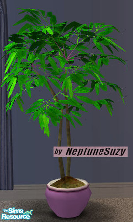 The Sims Resource - NSC Fig Tree Plant 2 - Pink Purple Pot