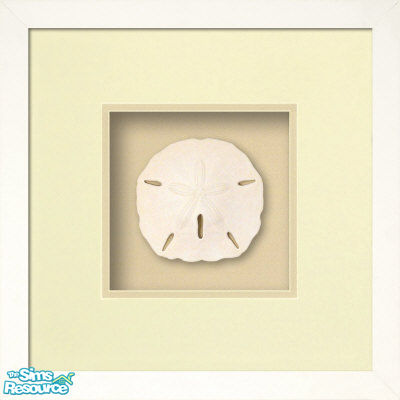 The Sims Resource - Sand Dollar