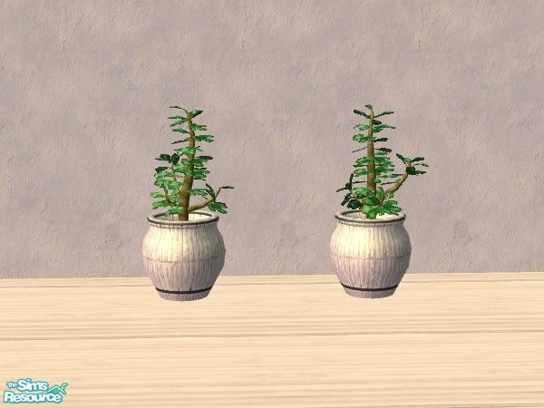 The Sims Resource | Plant