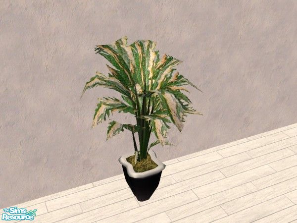 The Sims Resource | Philodendron plant 3