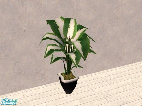 The Sims Resource | Philodendron plant 1