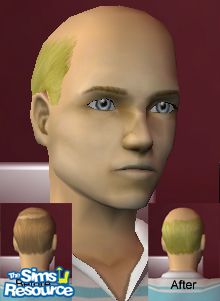 The Sims Resource | Blonde Bald