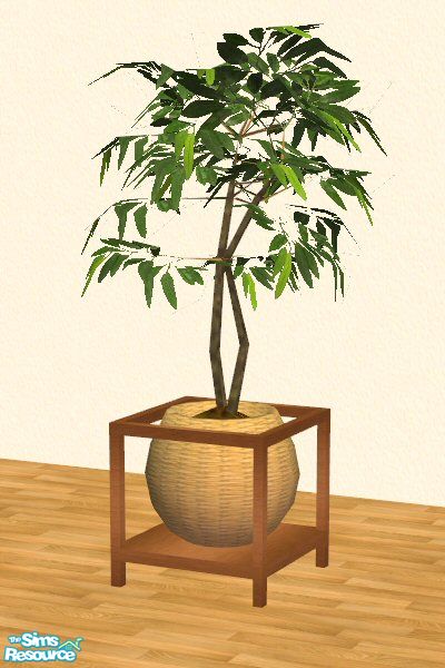 The Sims Resource - Tiber Livingroom Fig Tree- Leaves Recolor